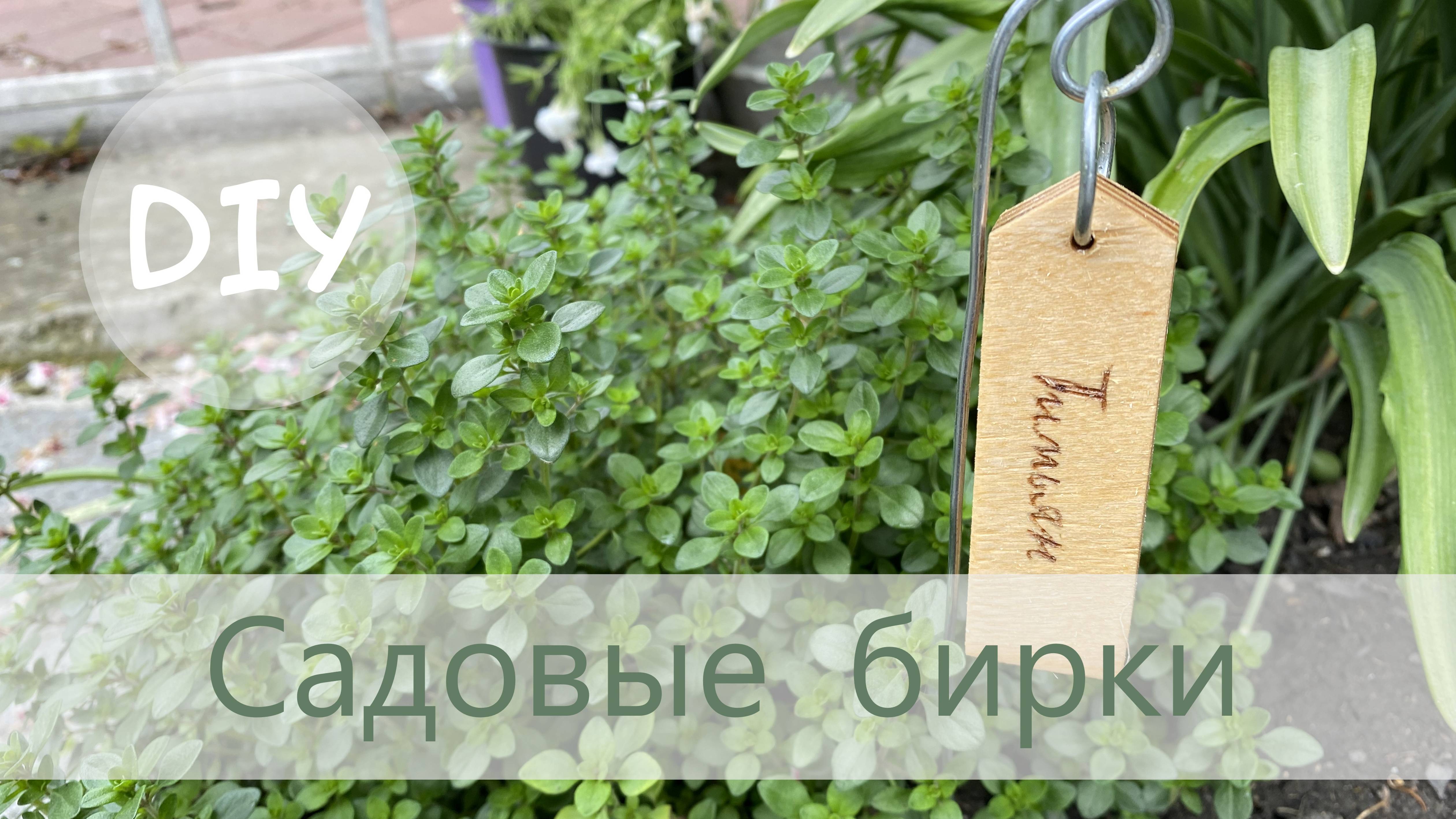 Садовые бирки своими руками /Tags for plants / DIY