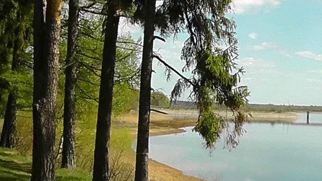 Самый лучший способ наполнить сознание светом. 15 минут в день