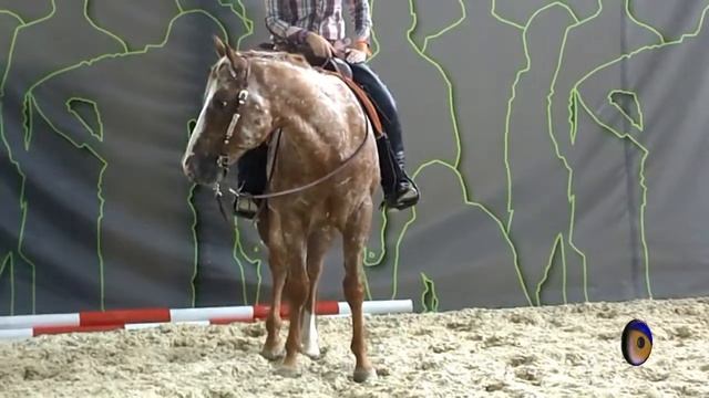 2014 10 18 Equiros