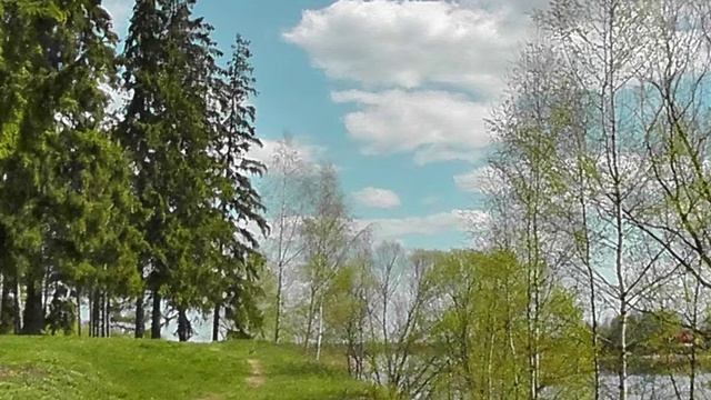 Высшая энергетическая гимнастика в письмах от Золотого Ангела. Меняй сознание со скоростью света