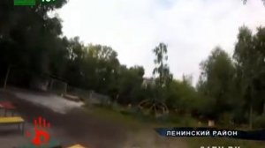 Косуля забрела в центр города