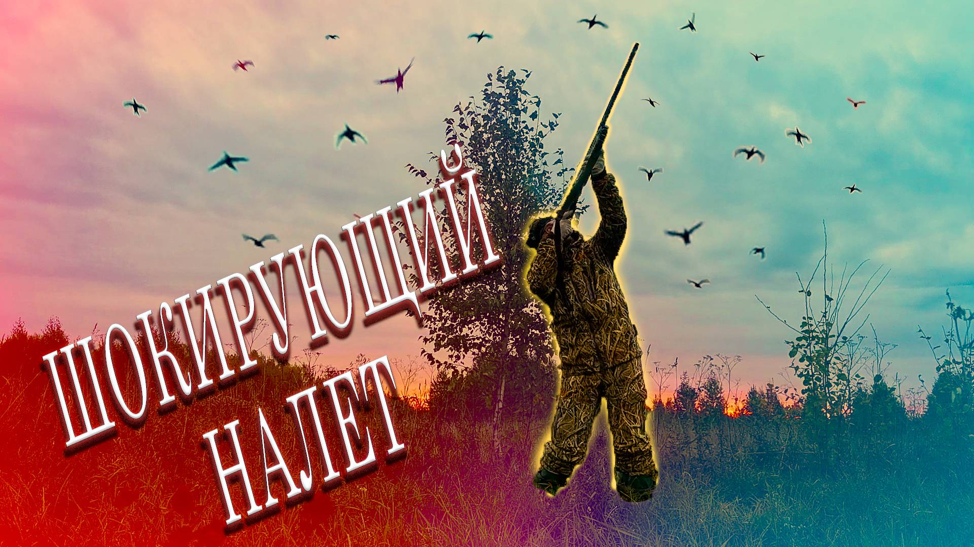 Охота на тетерева осенью. День 2