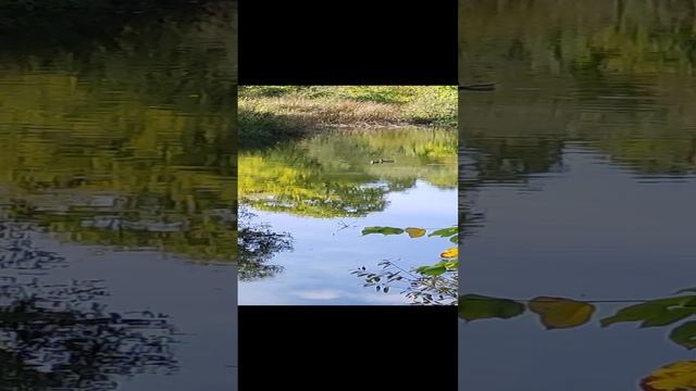 1000567312.mp4