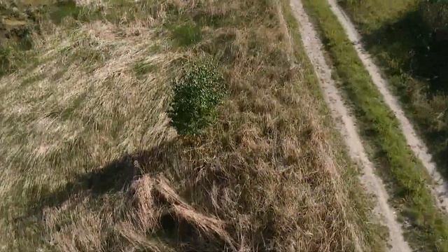 Вел и дрон - двойное управление