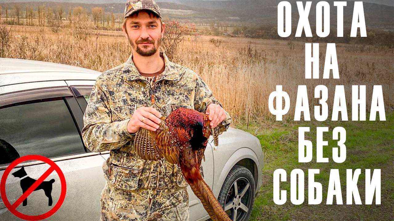 Охота на фазана / трудовая охота без собаки.
