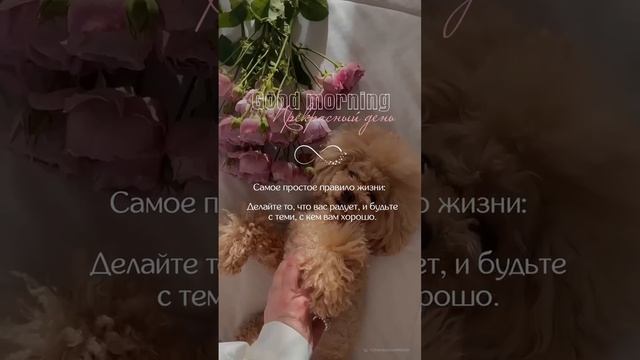 Доброе утро