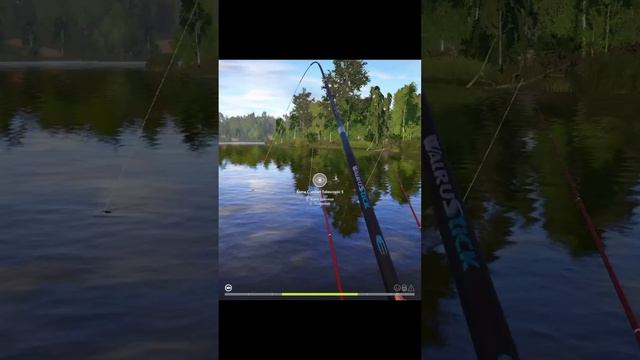 Русская Рыбалка 4 🐟🐟🐟 Карп чешуйчатый #shorts