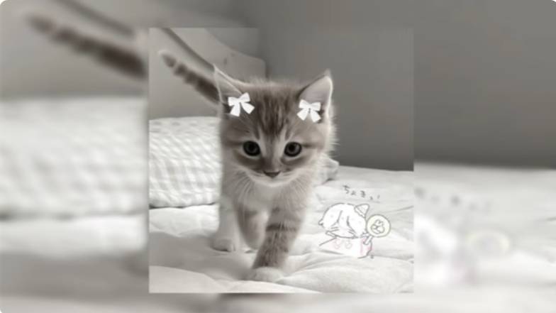 квадроберская жизнь