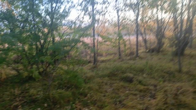 Прекрасное Камчатское утро 29.09.2024г.
где-то не подалеку ходит медведь)