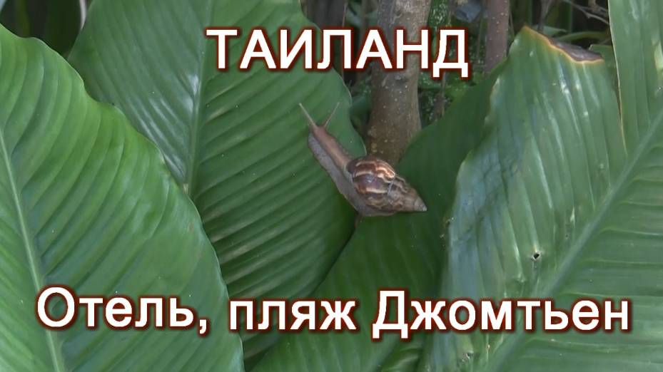 Джомтьен