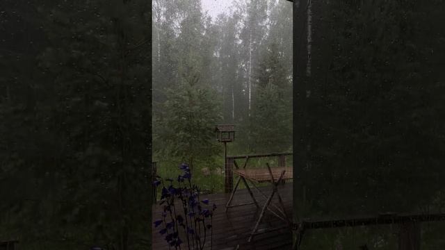 Rain  #shorts #rain #relax