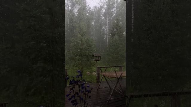 Rain  #shorts #rain #relax
