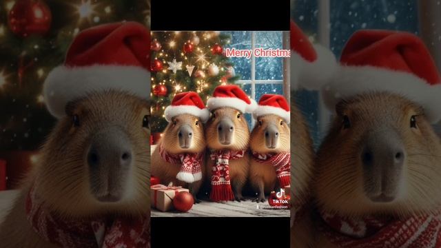 Merry Christmas everyone