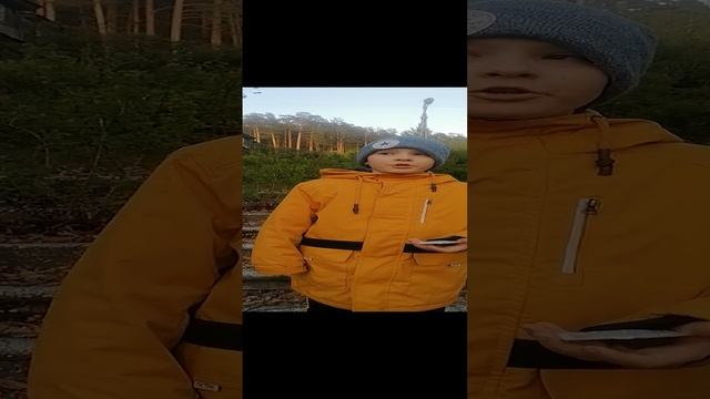 🌱Сергей Орлов - Весна☀ #оВойне #стихи #поэзия