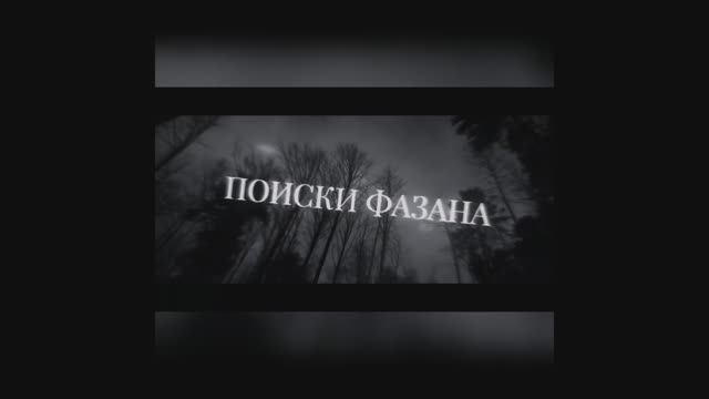 Поиск фазана