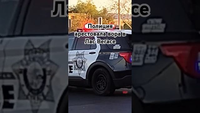 Полиция арестовала магазинного вора в Лас Вегасе #lasvegas #америка #воровство #полиция