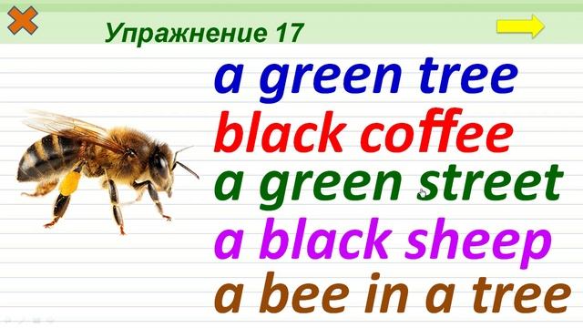 Упражнение 17. Буквосочетание ee