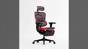 Кресло FALTO Ergohuman Ultra X9 GAMING с подножкой (чёрный/ красный каркас /сетка Equator Red )