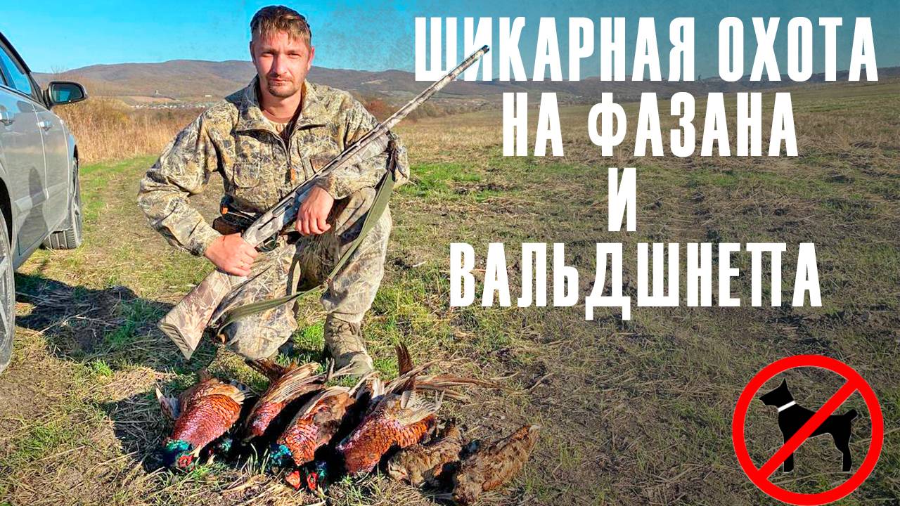 Шикарная охота на фазана и вальдшнепа
