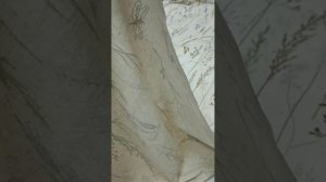 Хлопколен Шалфей , плотность 140 г/м2, ширина 150 см