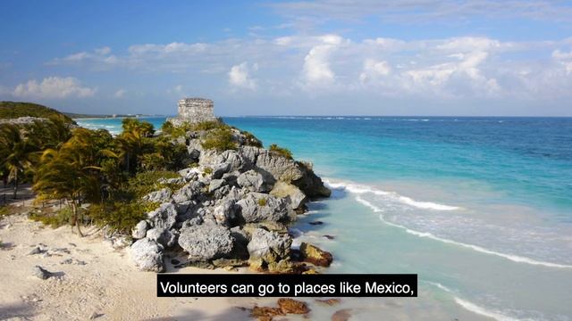 PREPARE_6_Culture Video_subtitles_11