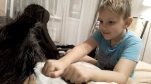 дрессировка юби