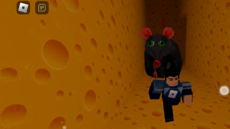 Я стал котом или комочком? ( Roblox Cheese Escape )