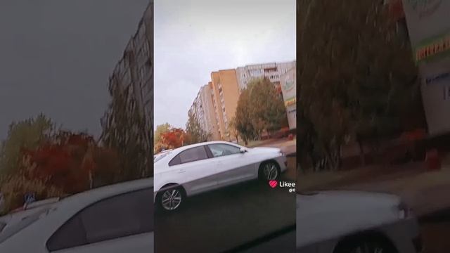 даша дошик