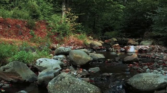 СЫН ЦЕРКОВНЫЙ часть 10