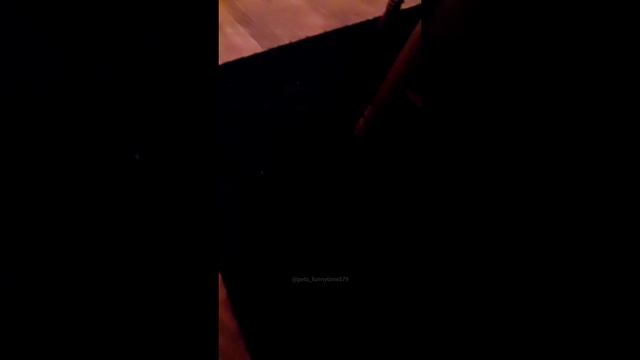 Особенности владения черным котом