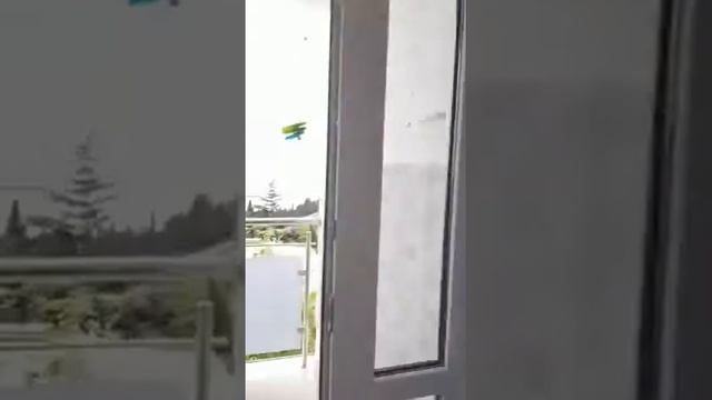 Апартаменты в Гурзуфе с видом на море и кухней. Люкс