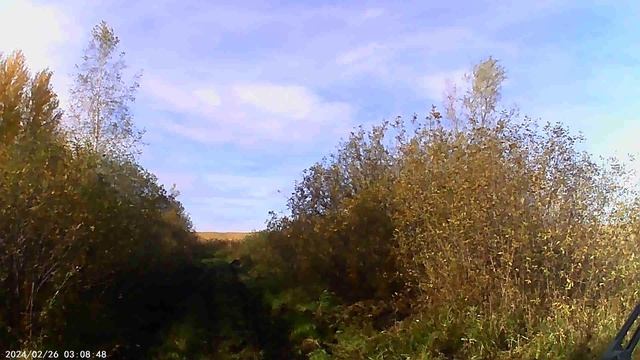 Покатушки на питбайке. Съездили за кукурузой помесили грязь.