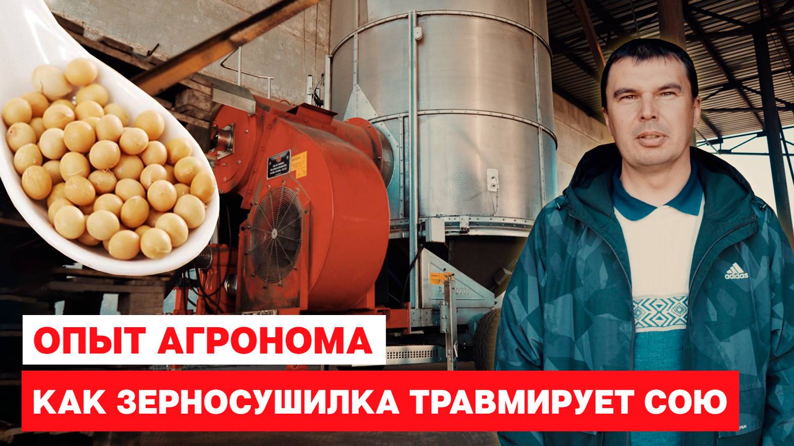 Опыт агронома. Как зерносушилка травмирует сою при сушке