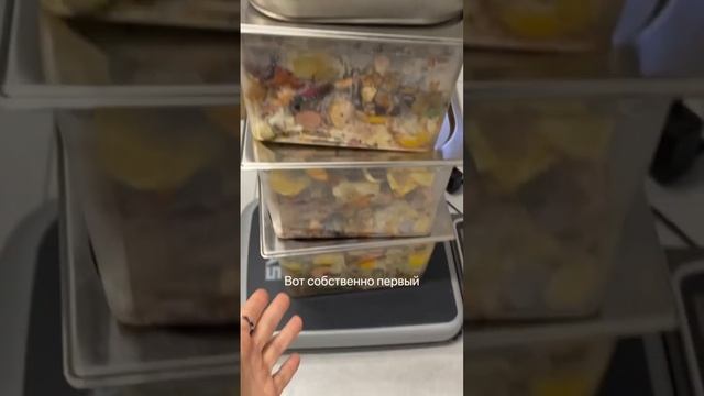 Влог про открытие zero waste кафе уже на канале @NOPLASTICITSFANTASTIC  #zerowaste #нольотходов