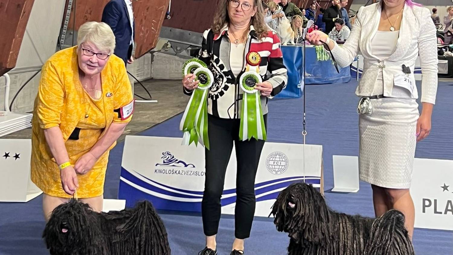 INTERNATIONAL SHOW PLATINUM SLOVENIAN WINNER SHOW (CE)
03 Oct 2024 - PLATINUM SLOVENIAN WINNER SHOW