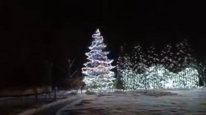 Украшение новогодней ели #светодиоднаянить #подсветкадерева(360p)