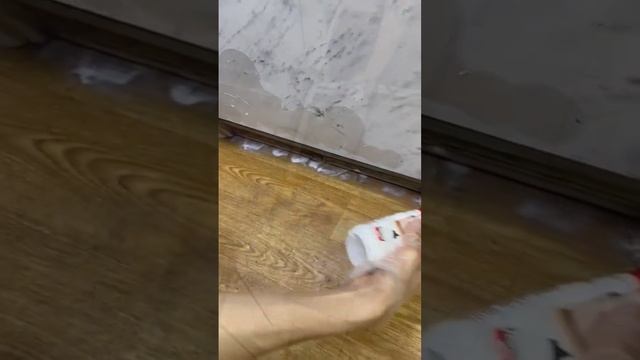 Уничтожаем тараканов в кафе и общежитии