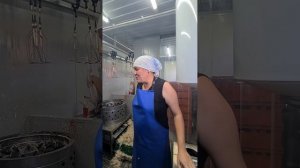 Подробный отзыв после года эксплуатации оборудования