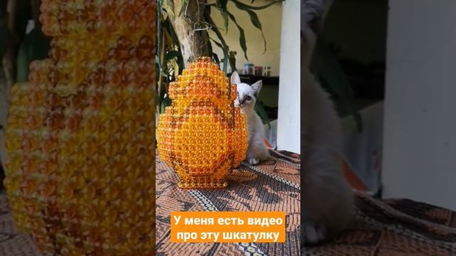 Мой котик и моя шкатулка из бусин