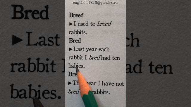 учим английские неправильные ГЛАГОЛЫ 4 #english #englishgrammar #spokenenglish #englishspeaking