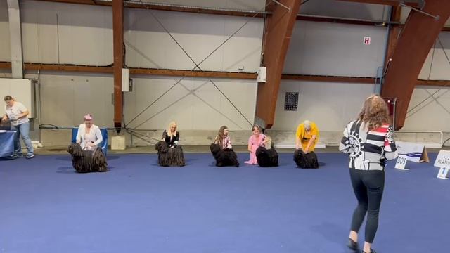 Сравнение выставки
INTERNATIONAL SHOW PLATINUM SLOVENIAN WINNER SHOW (CE)
03 Oct 2024