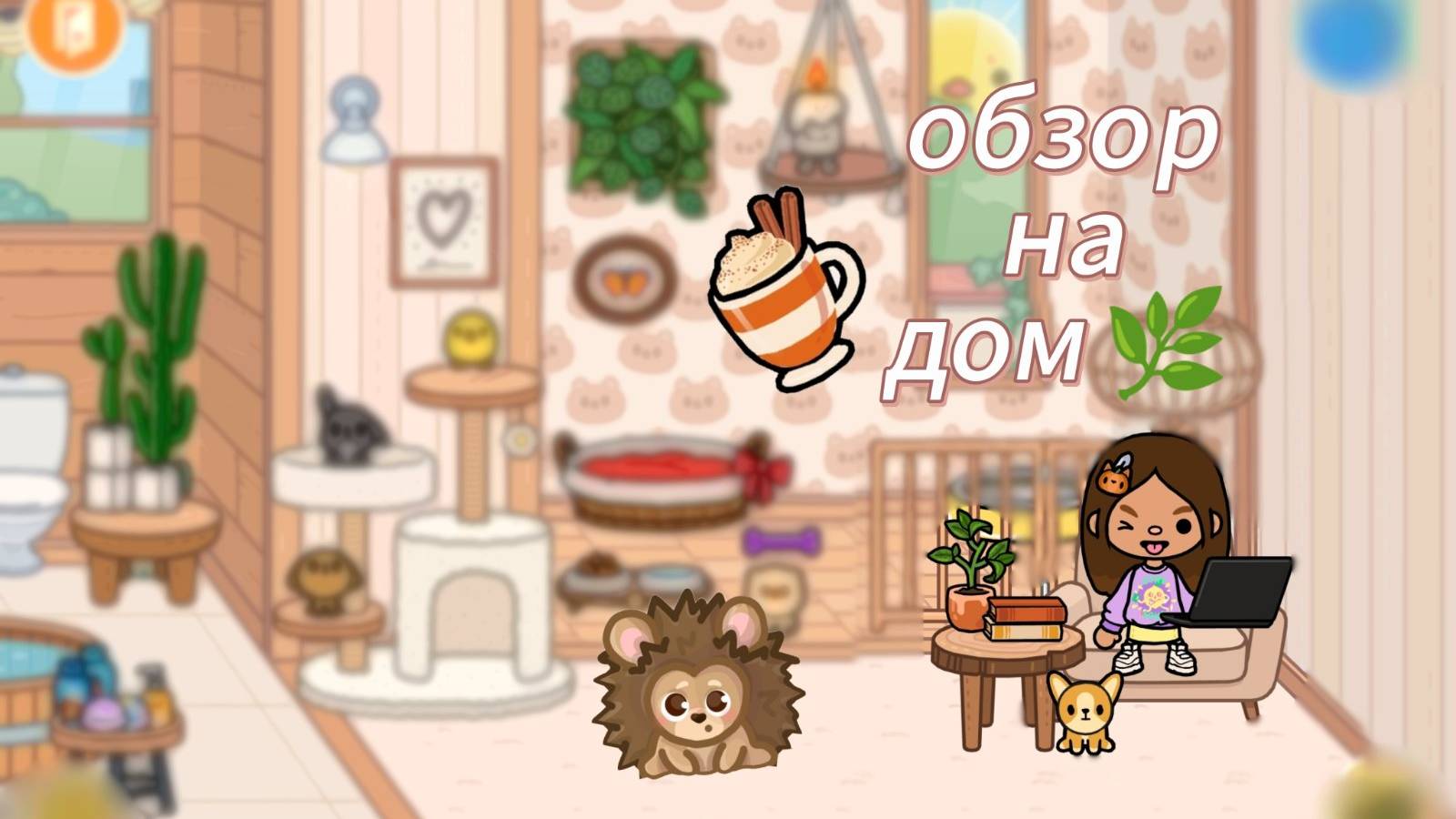 обзор на дом/ тока бока