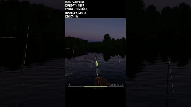 Трофей плотва обыкновенная 🐟🐟🐟 Русская Рыбалка 4 #shorts #русскаярыбалка4