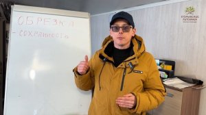 Зачем нужна весенняя обрезка в саду? Рассказывает агроном питомника