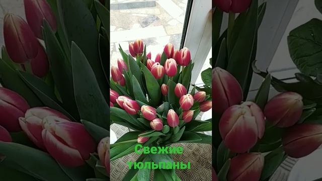 18 февраля 2023 г.