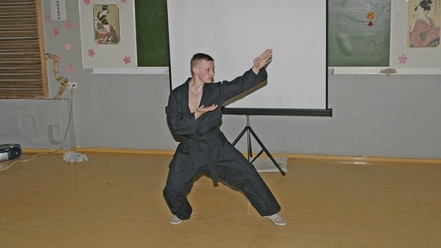 2005 год и ранее Показательные выступления