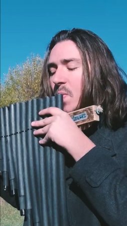 Когда лень убираться в САРАЕ