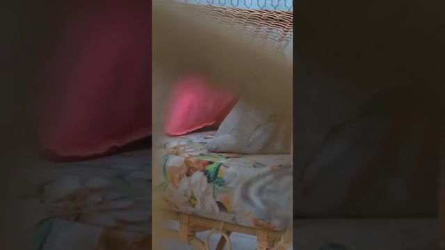 Бренд Designers Guild в наших салонах!