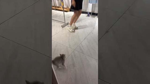 Я тоже так умею