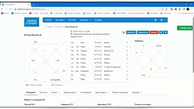 Лев и 11 дом гороскопа. Как развить свой знак зодиака до 11 дома